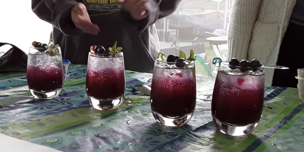 Winning mocktail recipes! | Fun and Fellowship | St. Clement's Anglican ...