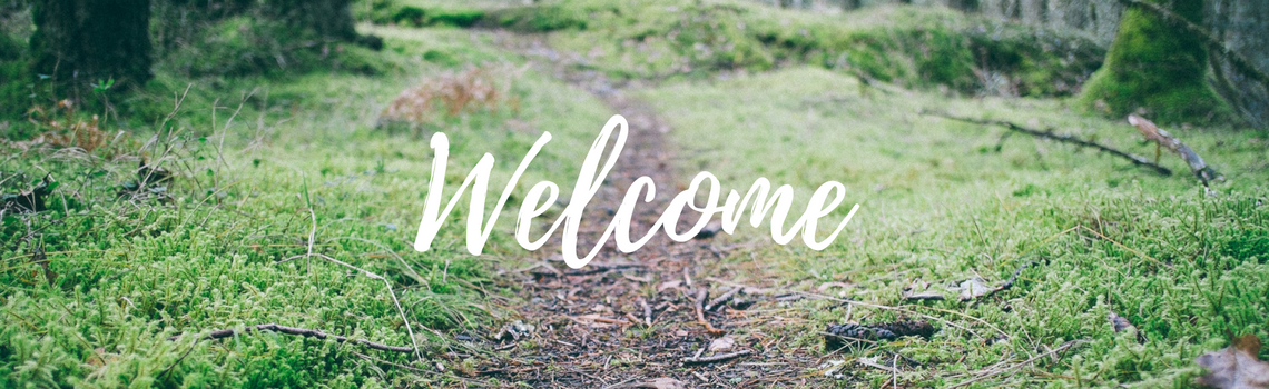 Chesley Community Church | Church in Chesley, ON