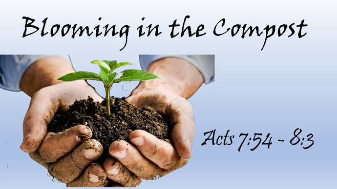 Sermons | All Saints Lutheran Church