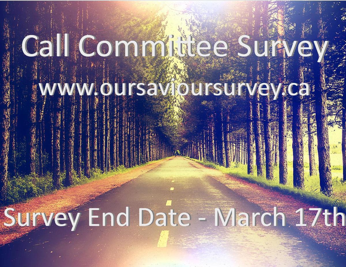 Call Committee Survey | Lutheran Church of our Saviour