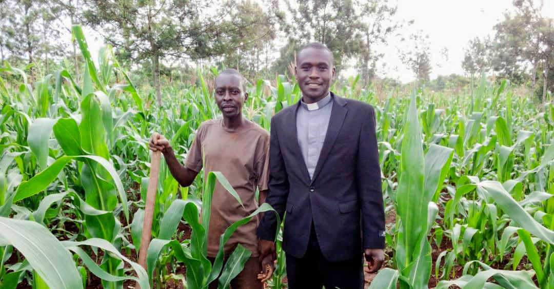 Crops of Beans, Maize and Rice Ready for Harvest in New Year | Buyé ...