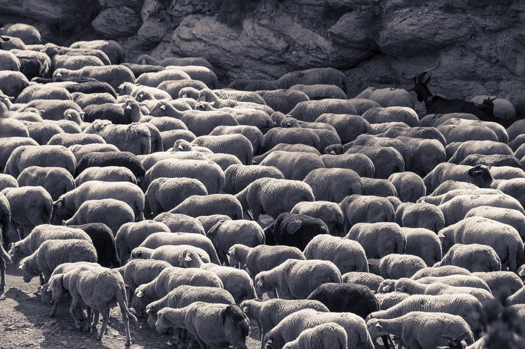 Blog | Living Theology | John B. MacDonald