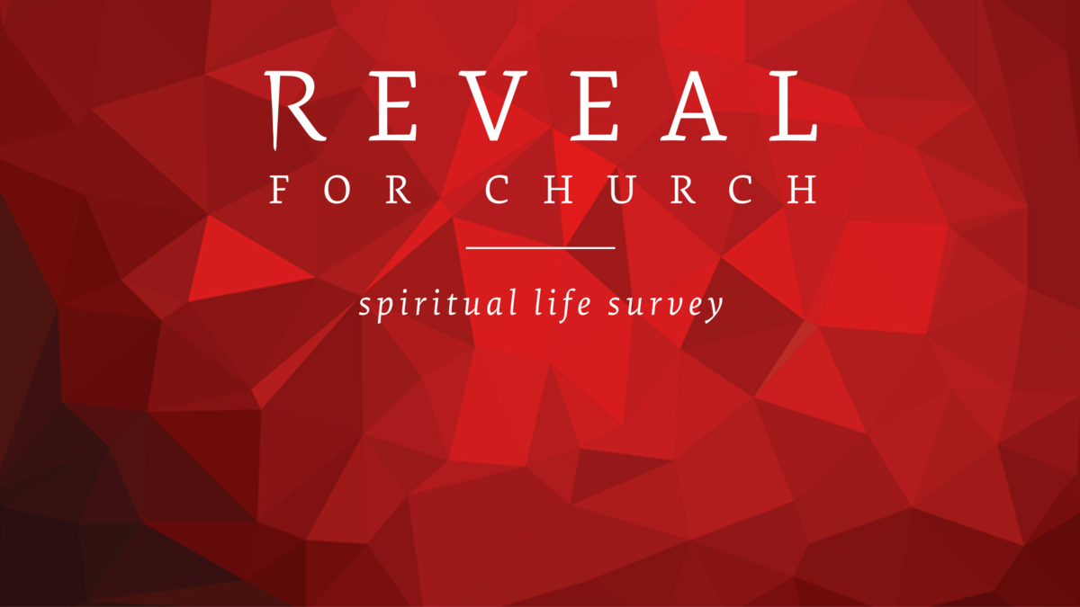 Reveal Study | Bridges Church