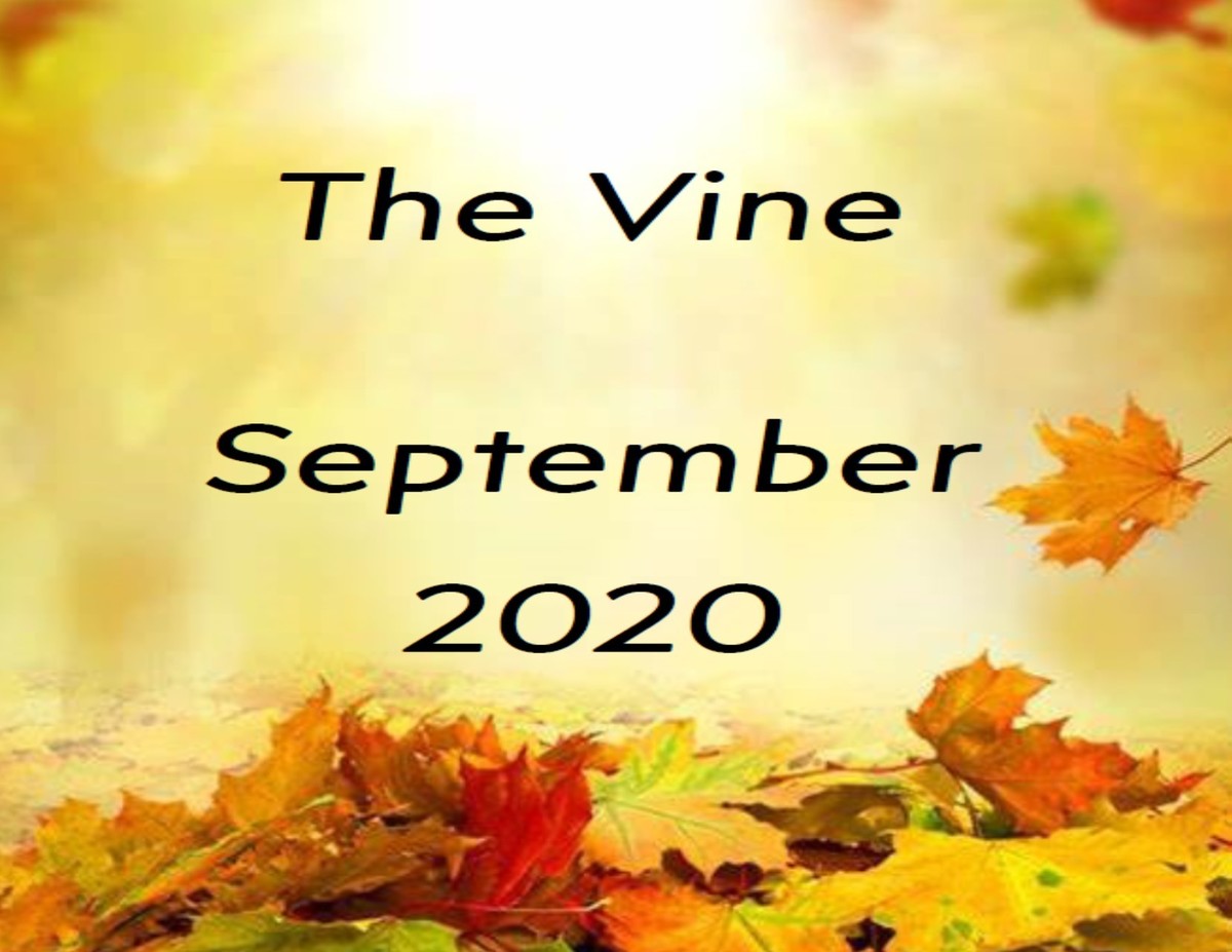September Vine | Lutheran Church of our Saviour