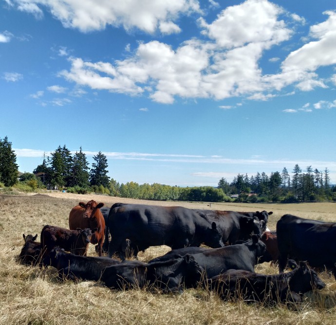 Services | St. Michael & All Angels’ Anglican Church