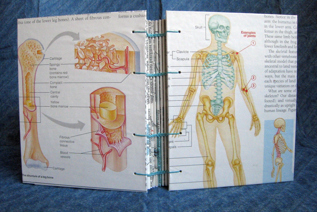 Blog | Living Theology | John B. MacDonald