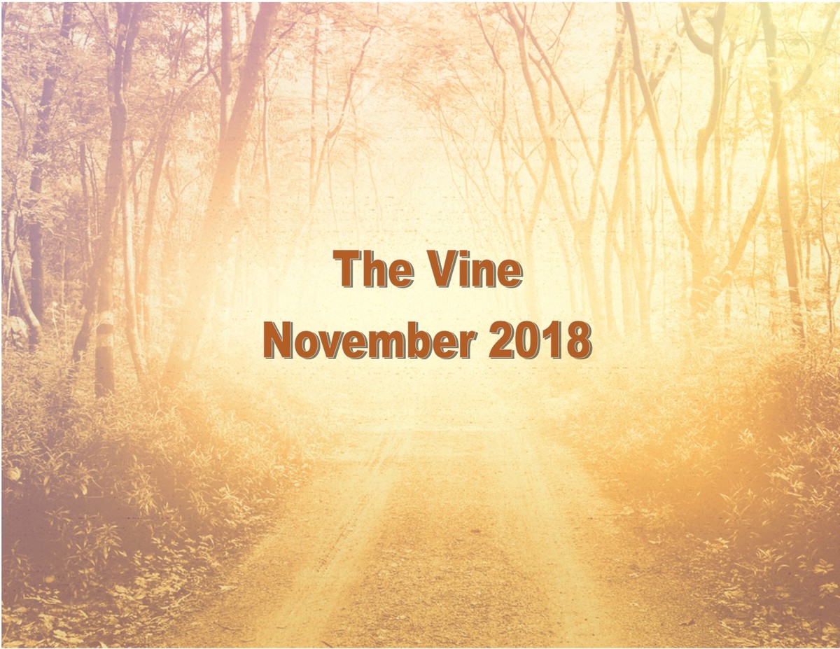 The November Vine | Lutheran Church of our Saviour