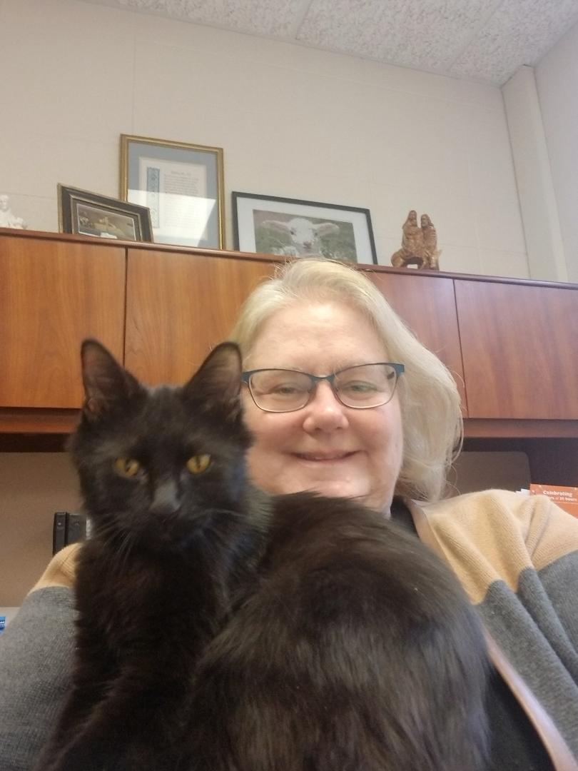 Update on Pastor Michelle | St. John's Lutheran Church