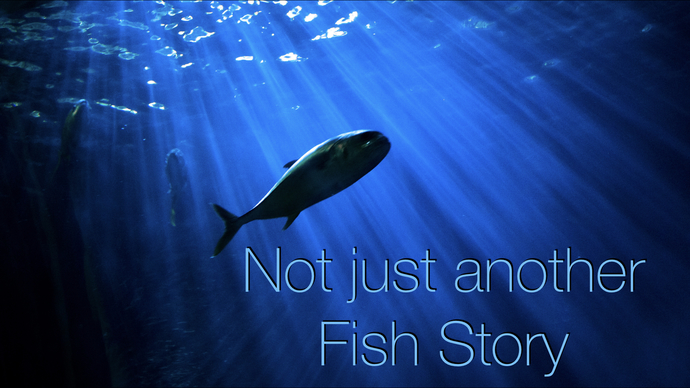 Sermons | Lakewood Alliance Church