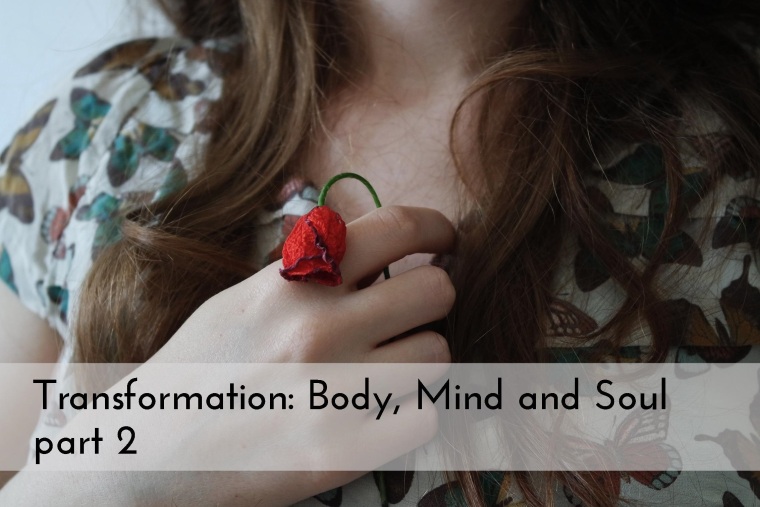 Blog | The Connection