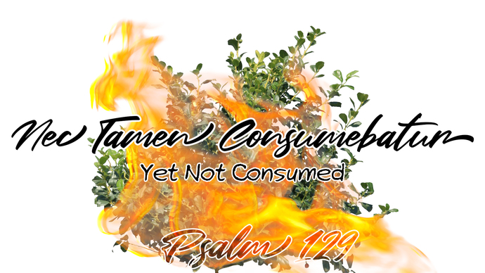 Sermons | Temple Baptist Church