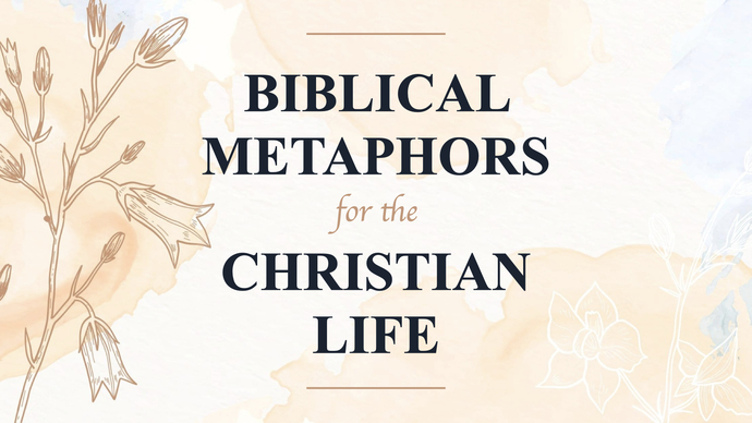 Sermons | Grace Baptist Church