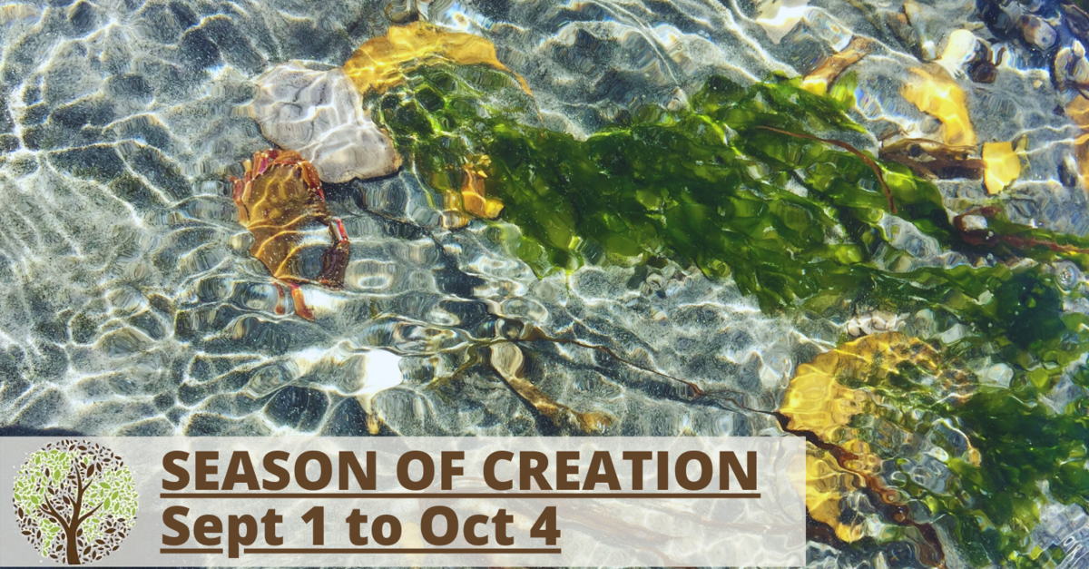 SEASON OF CREATION 2022 | St. Peter Anglican Church