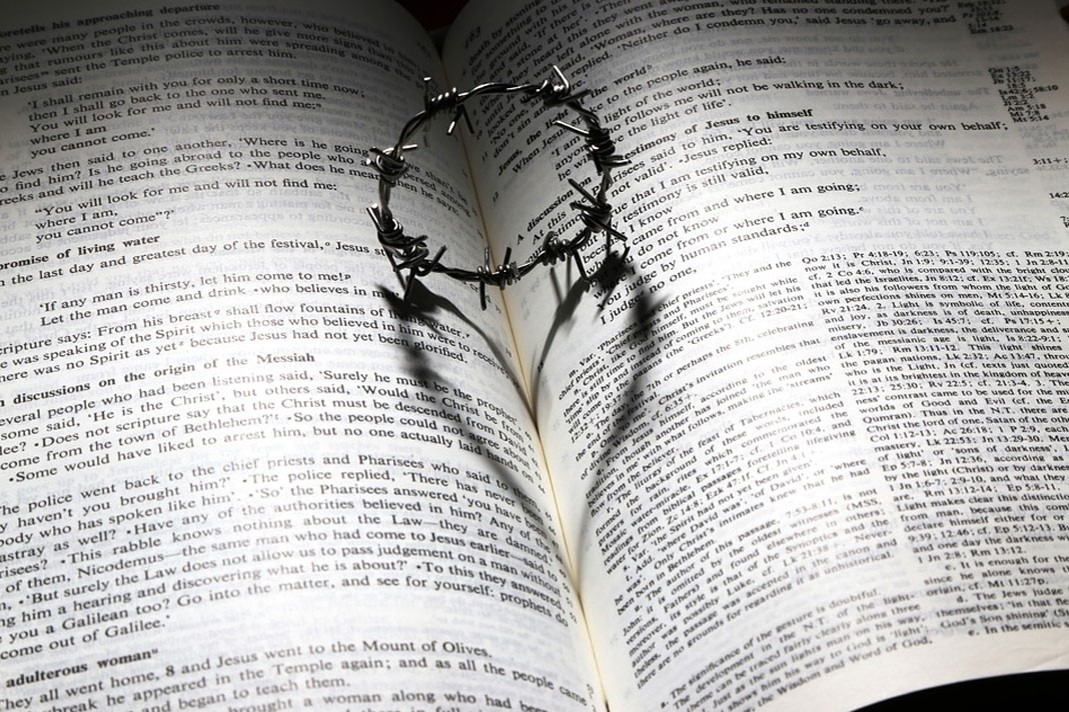 Bible Study | Teaching Mission Party | Christ The King Lutheran Church