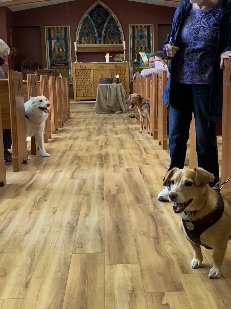 October 3, 2022 | St. George's Anglican Transcona