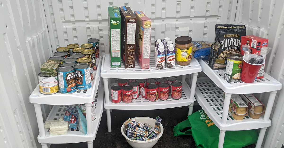 Food forest and community cupboard at St. Michael and All Angels | St ...