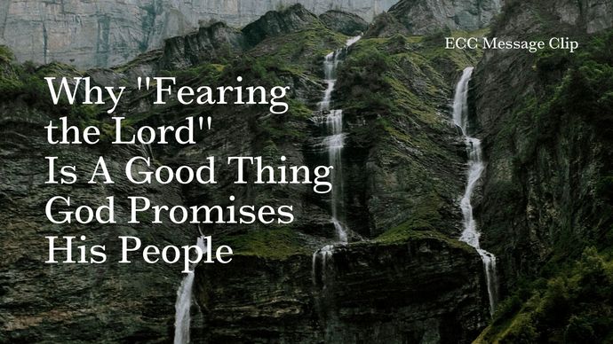 ECC Message Clips | ECC Stamford