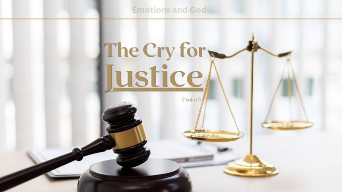 The Cry for Justice | Emotions and God | PVBC Sermons