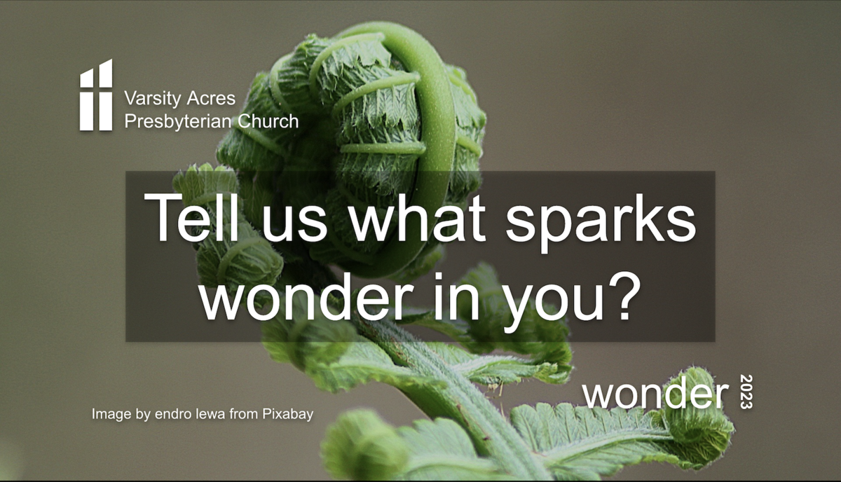 What Sparks Wonder in You? | Stewardship | Varsity Acres Presbyterian ...