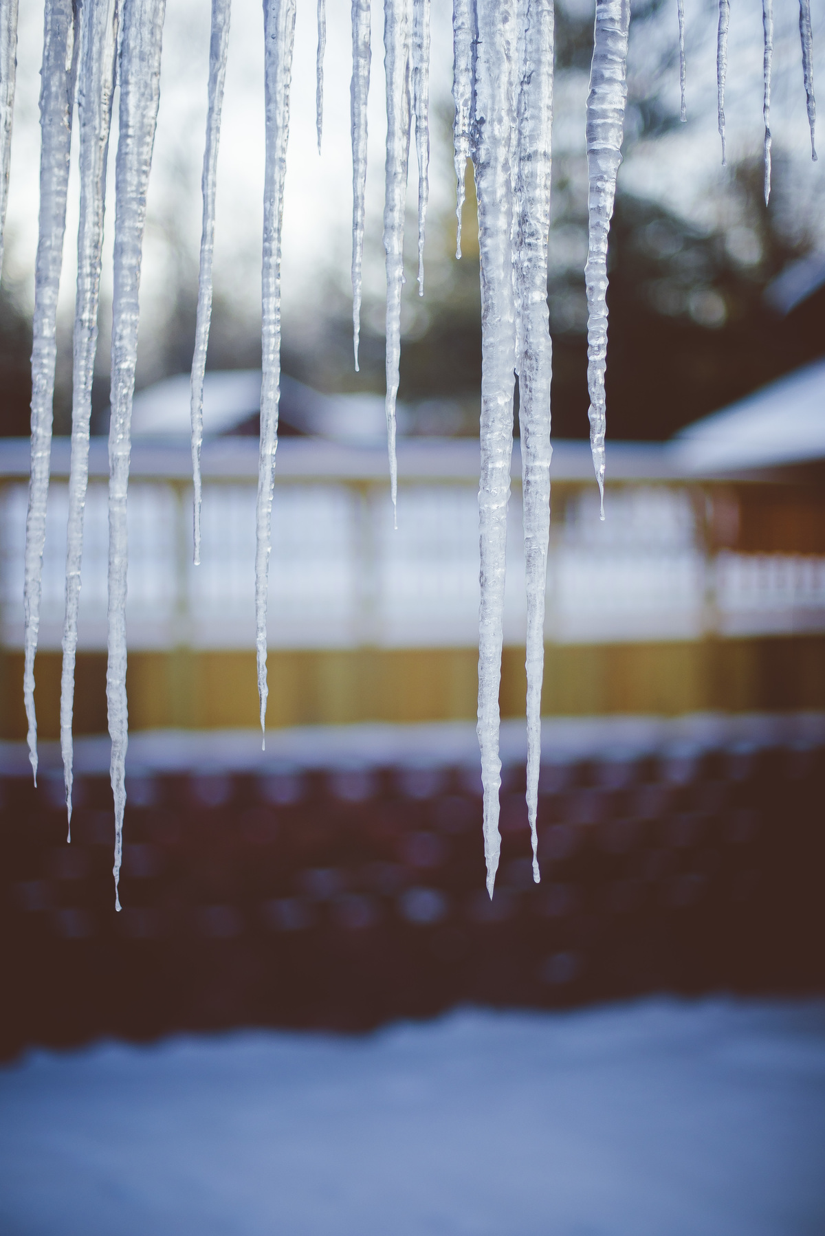 Wednesday Services Canceled - 1/25/23 | New Life Church