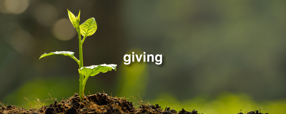 Money Matters | Financial Gifts | James Bay United Church