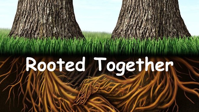 Worship | Fellowship Christian Reformed Church of Toronto