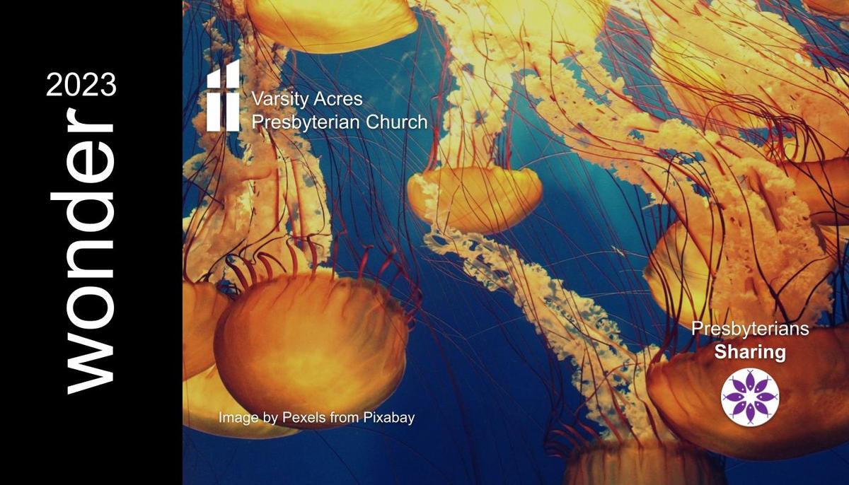 2023 Wonder Campaign - Week 5 Update | Stewardship | Varsity Acres ...