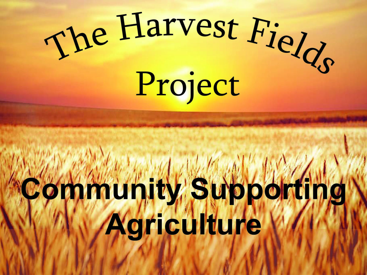 Blog | Sun Ministries, Inc.