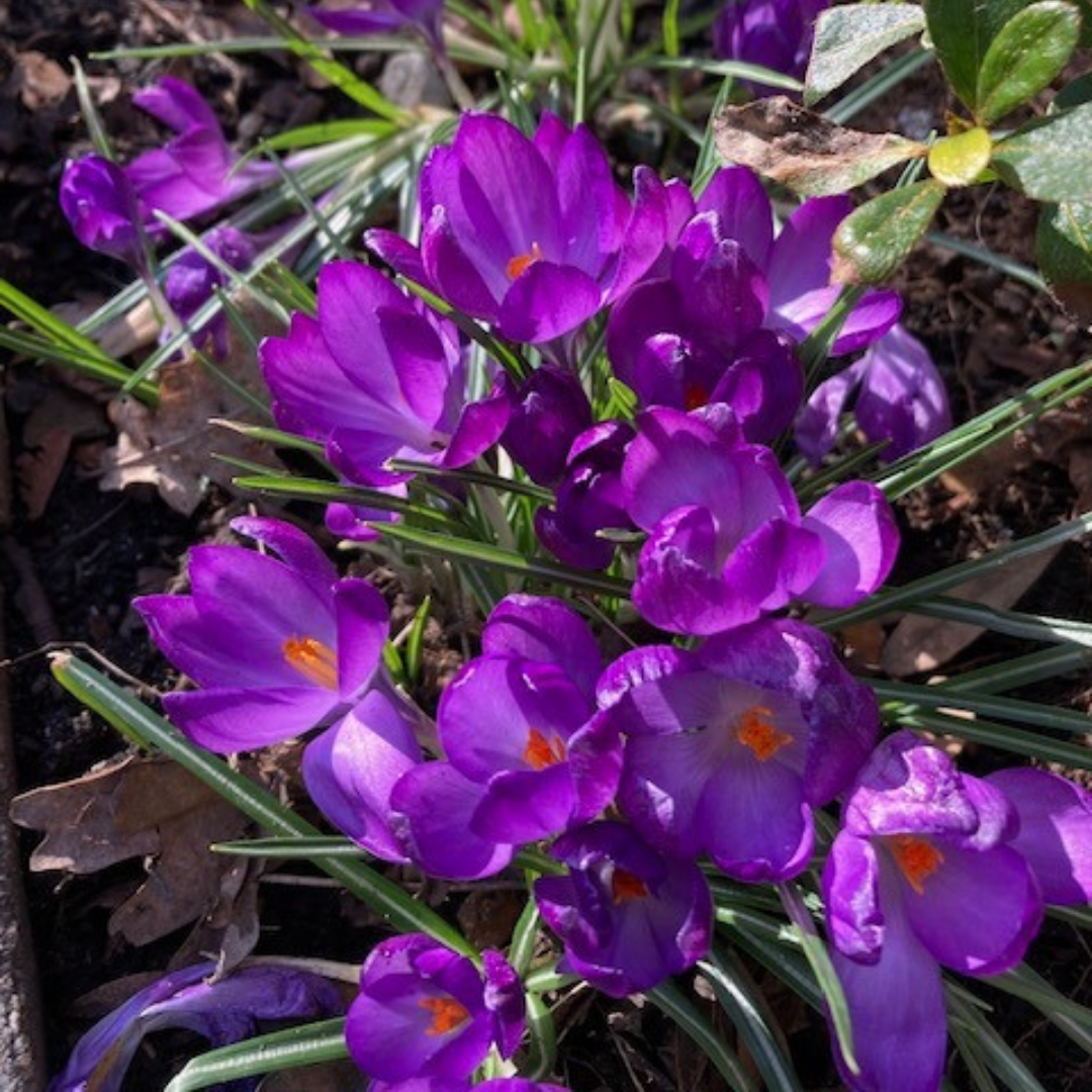 Blog | Christ Church Cathedral Vancouver BC
