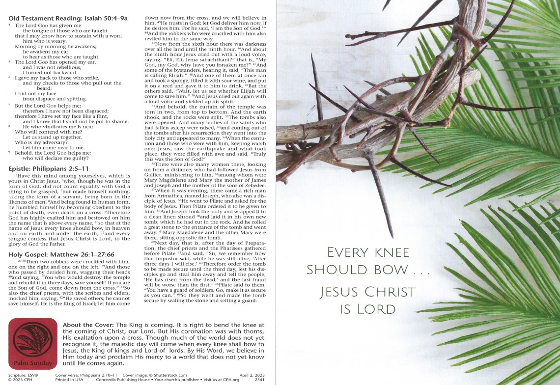 Worship Service - Palm Sunday Bulletin - Website | Worship and Music ...