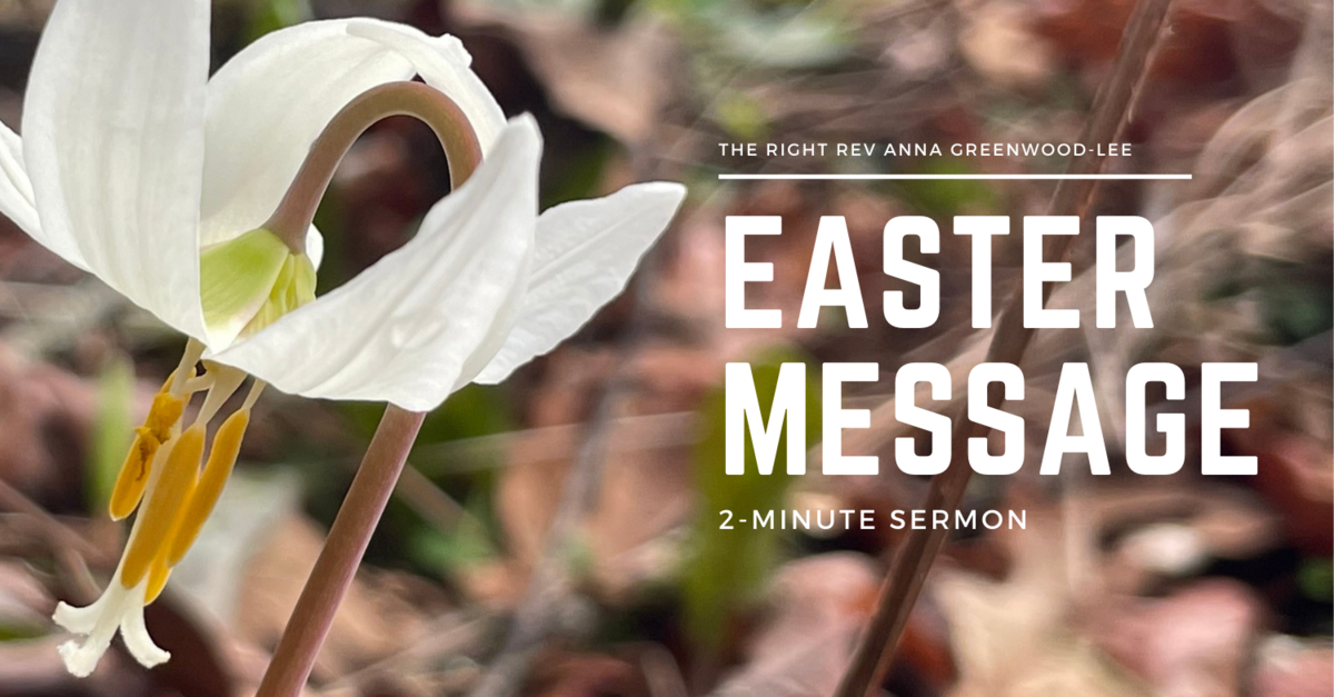 Message from Bishop Anna Greenwood-Lee | St. Mary the Virgin Anglican ...