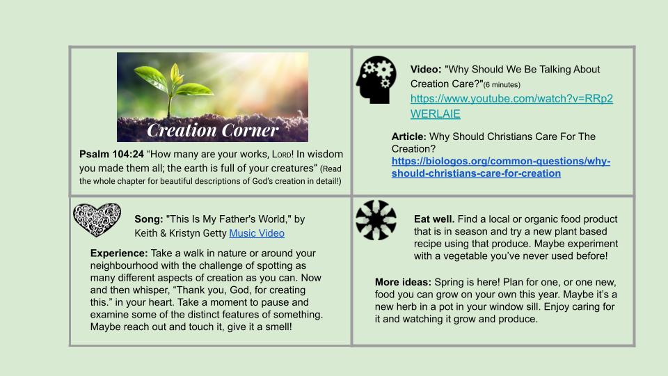 Creation Corner | Nelson Avenue Community Church