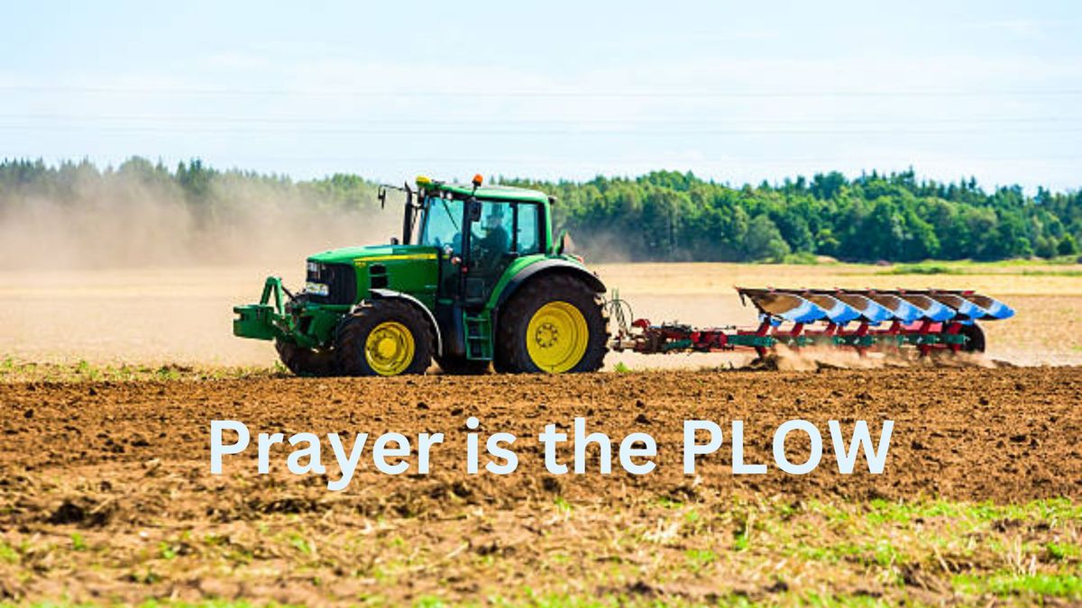 Blog | Covenant Grove Church