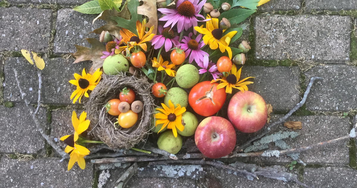 Why we celebrate the Season of Creation? | Deanery of Huron & Perth