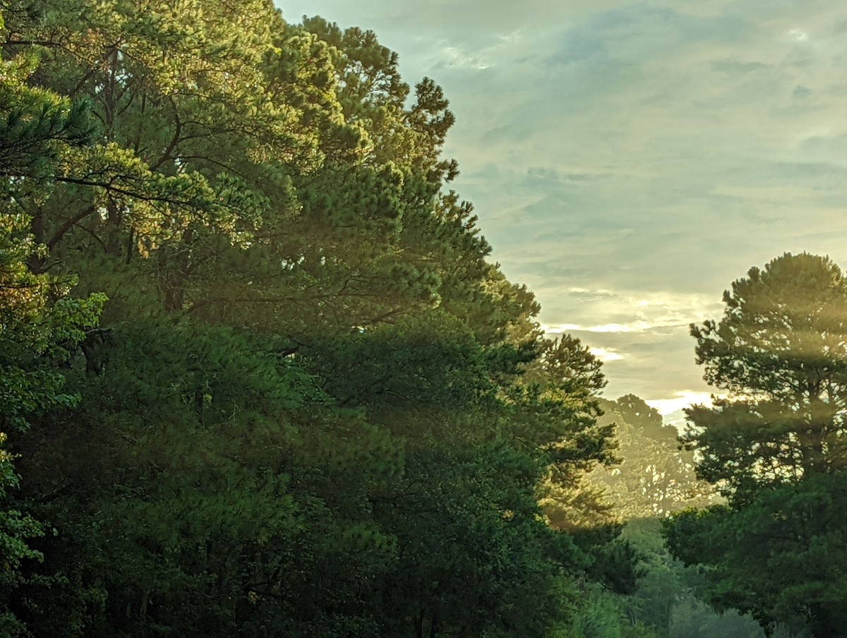 The Delight of Life | Unitarian Universalist Congregation of the Lowcountry