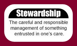 Stewardship in the Summer | Parish Announcements | Church of Saint John ...