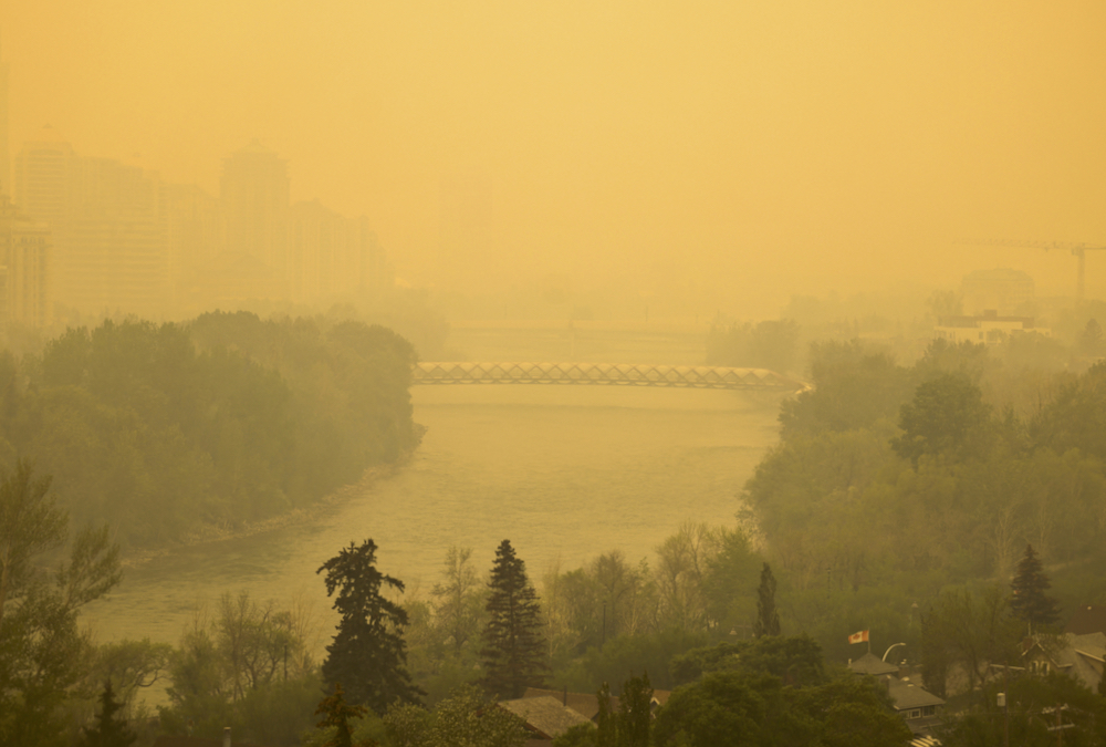 Managing Smoke Alerts | Holy Trinity Cathedral