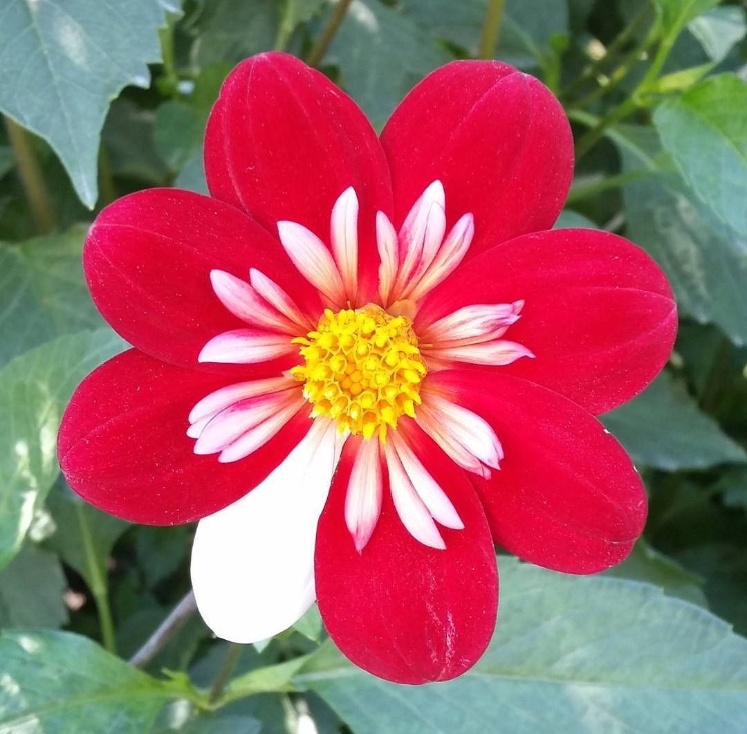 Blog | Northwest Washington Synod