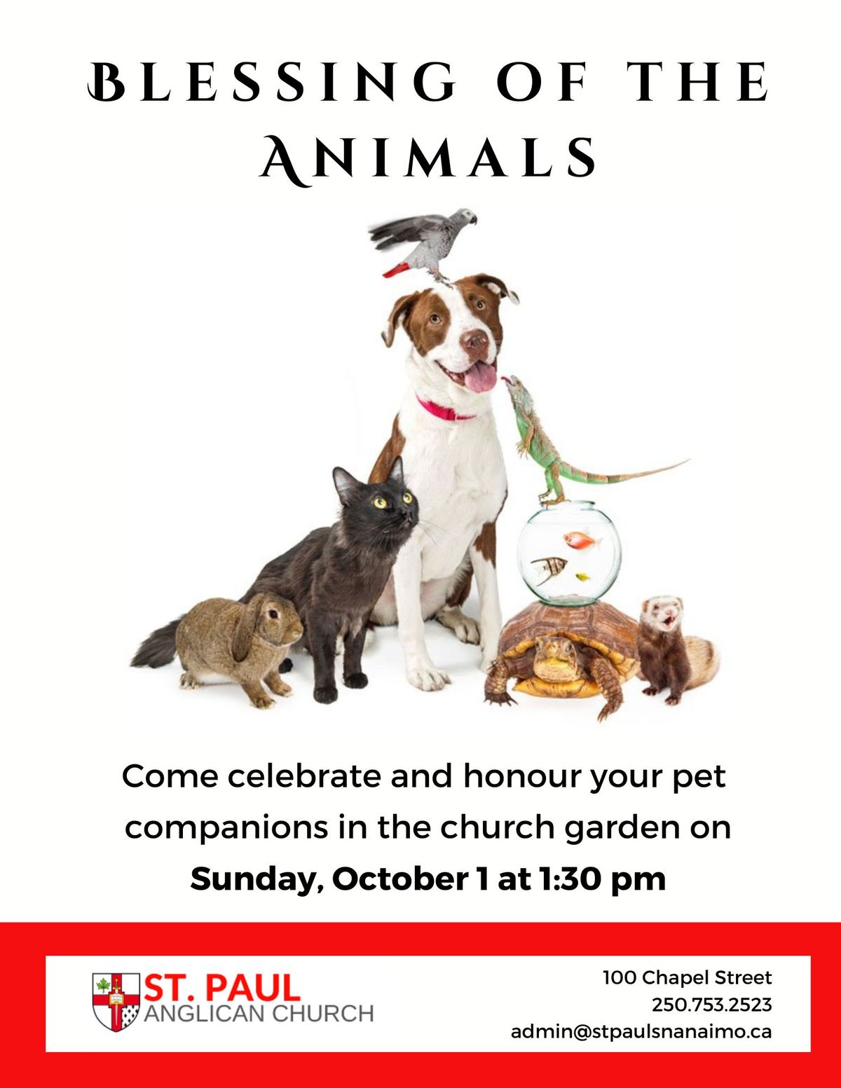 Blessing of the animals in the church garden | St. Paul's Anglican Church