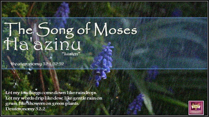 Sermons | Congregation Beth Yeshua North Georgia, Inc