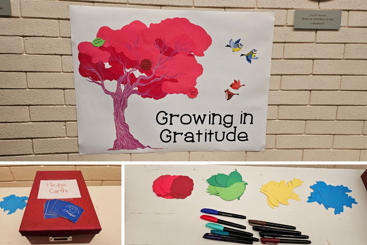 God Gives Us Growth | Good Shepherd Anglican Church