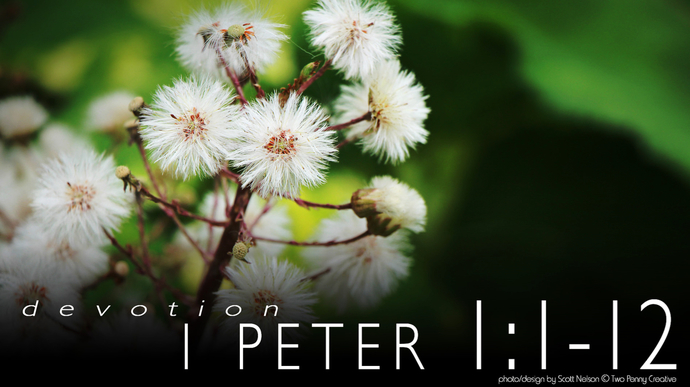 Devotionals | Covenant Grove Church
