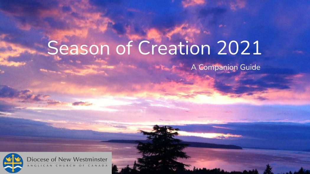 Praying, Learning, Acting in the Season of Creation | Anglican Diocese ...