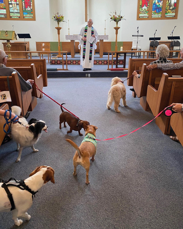 Pet Blessing in Abbotsford | St. Matthew, Abbotsford | Anglican Diocese ...