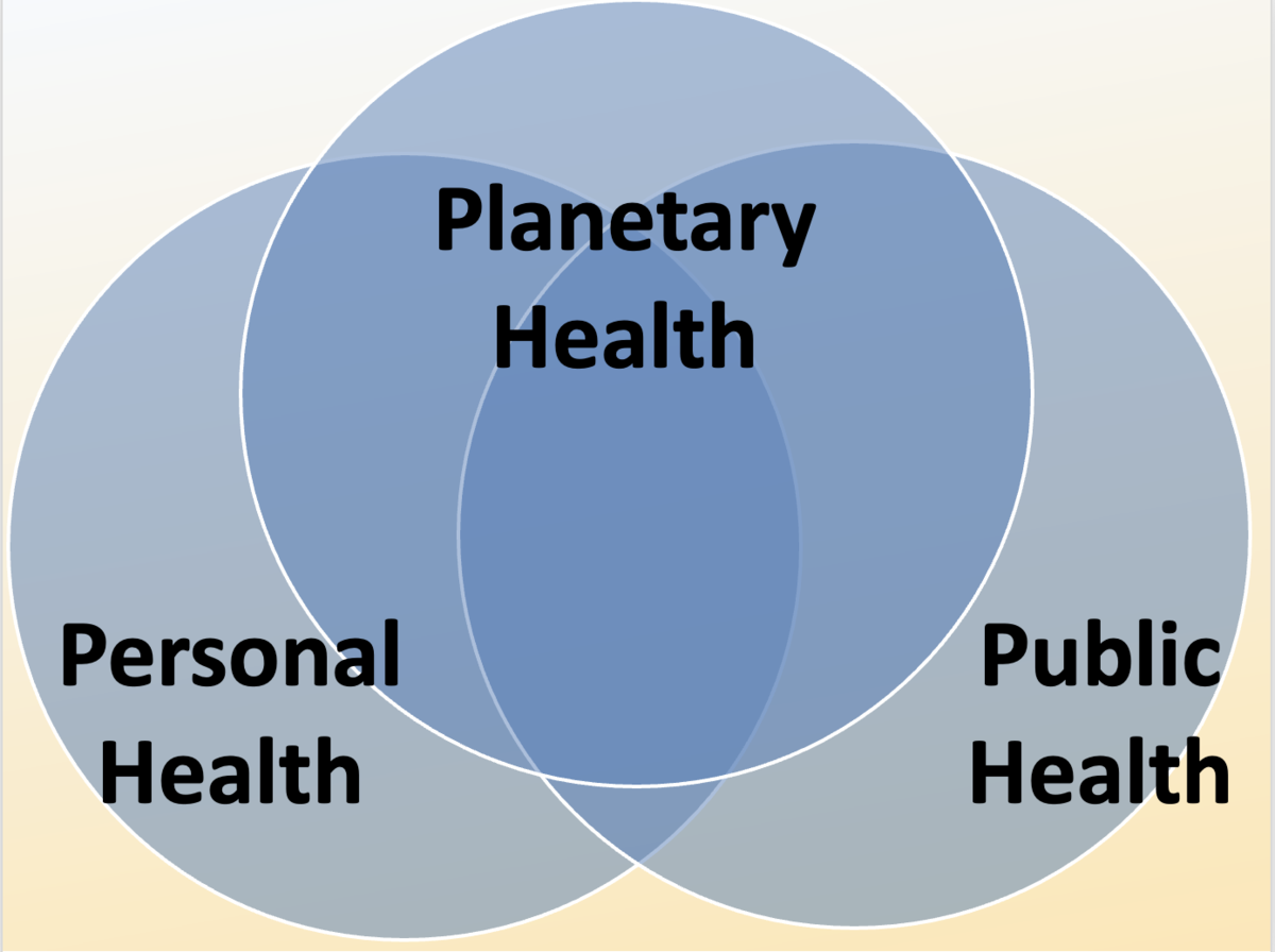 Blog | Eleanor Boyle