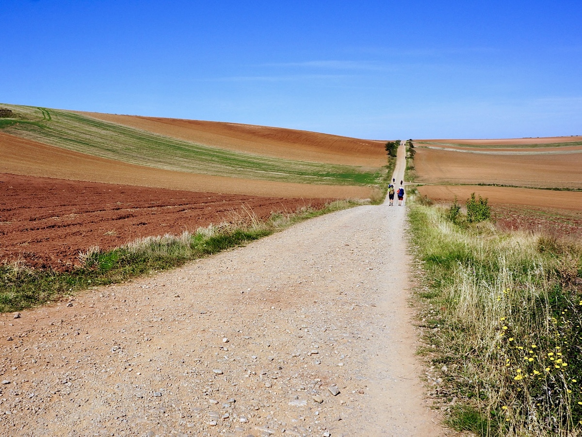 Space for God - Clear the Way | Lakewood Alliance Church