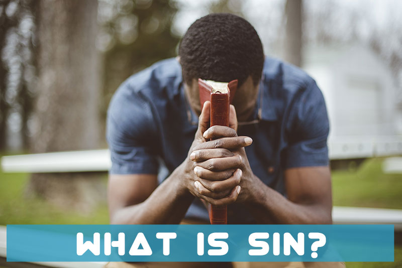 Blog | Free Life Community Church
