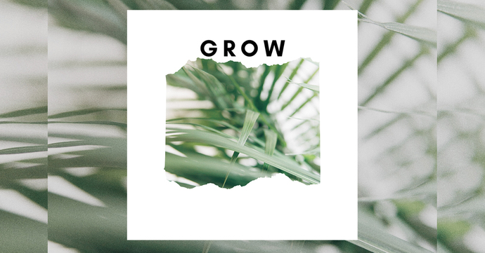 Podcasts | Living Waters Church