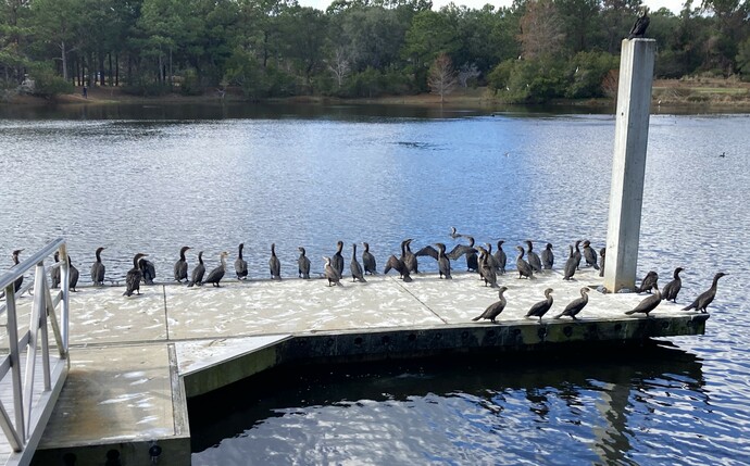 Services | Unitarian Universalist Congregation of the Lowcountry