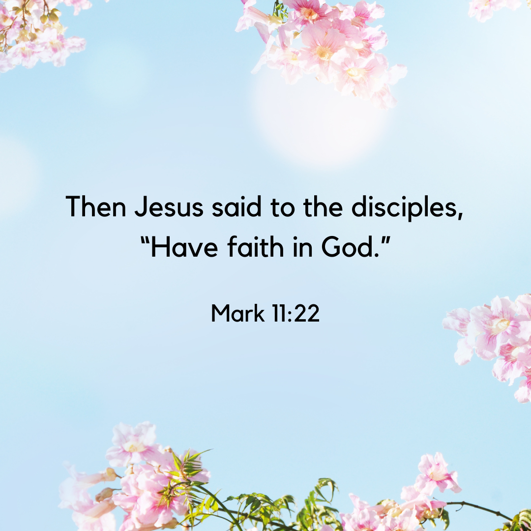Blog | New Freedom Church